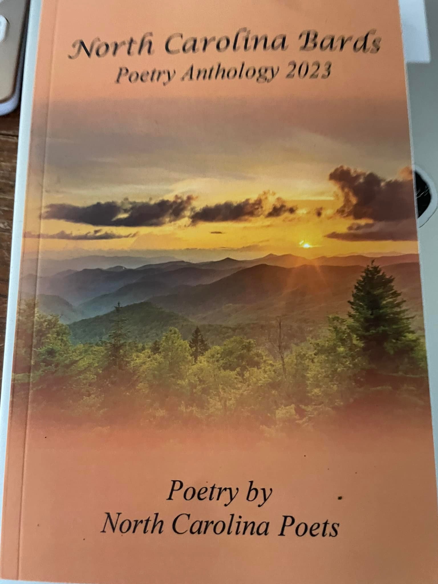 Publications – Adele Liles